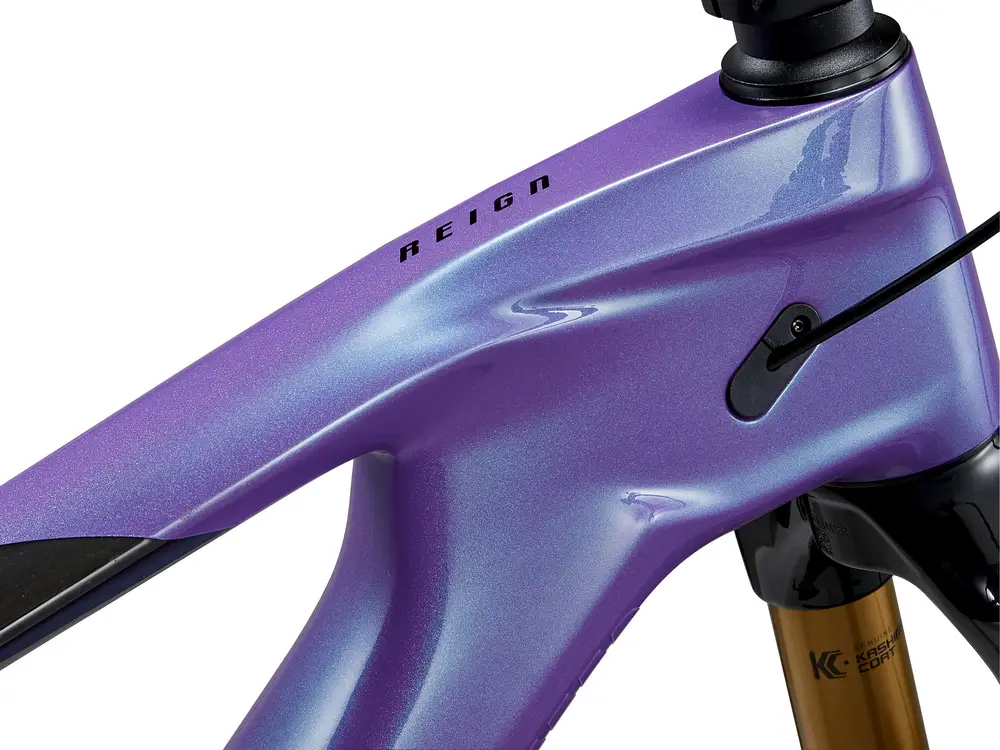 2024 Giant Reign Advanced 1 – Specs, Comparisons, Reviews – 99 Spokes