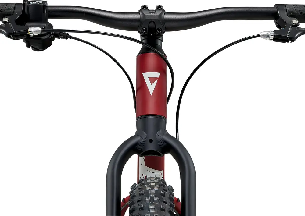 2024 Giant STP 24 – Specs, Comparisons, Reviews – 99 Spokes