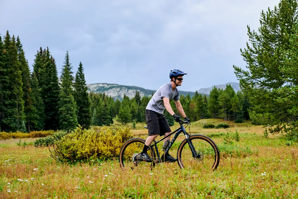 2025 Giant Talon 0 – Specs, Comparisons, Reviews – 99 Spokes