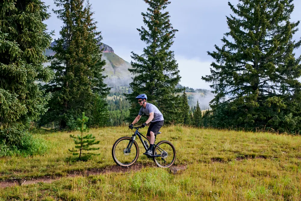 2025 Giant Talon 0 – Specs, Comparisons, Reviews – 99 Spokes