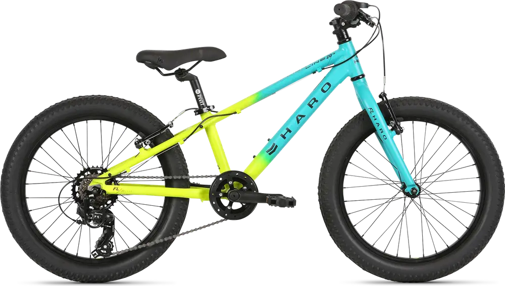 2021 Haro Flightline 20 Plus – Specs, Comparisons, Reviews – 99 Spokes