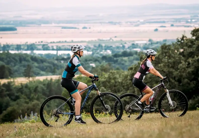 2025 Kellys VANITY 70 29" – Specs, Comparisons, Reviews – 99 Spokes