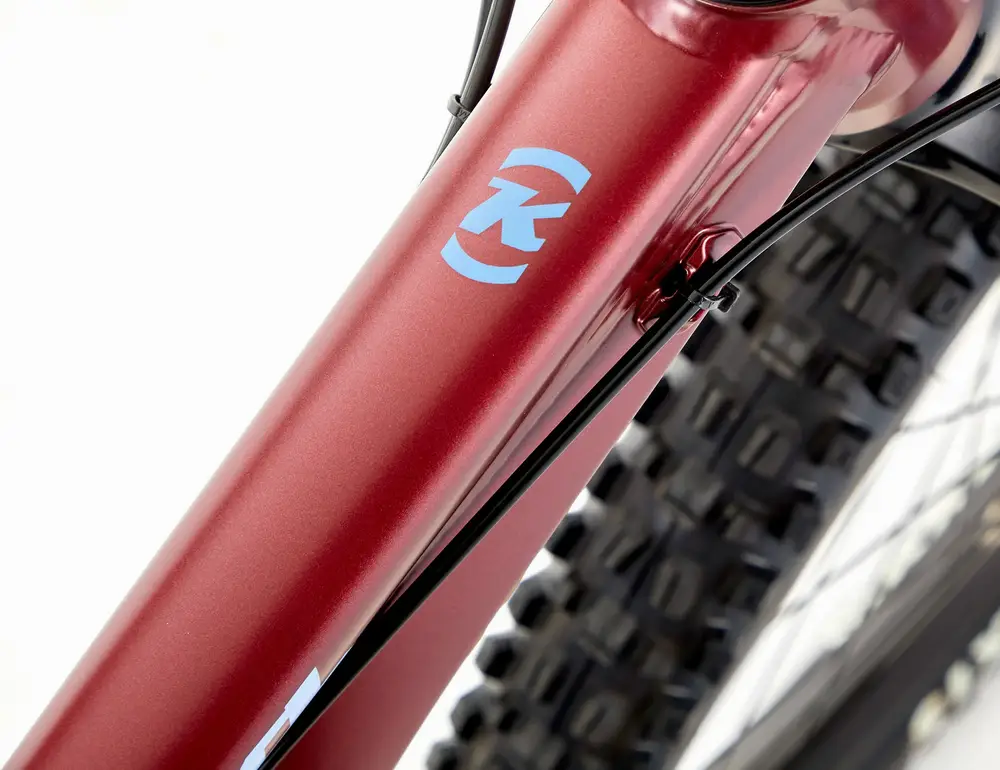 2022 Kona Process 153 29 – Specs, Comparisons, Reviews – 99 Spokes