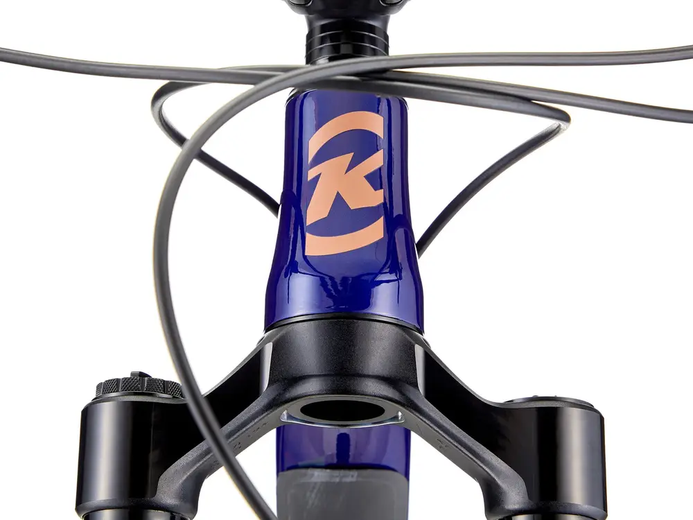 2022 Kona Process X CR/DL – Specs, Comparisons, Reviews – 99 Spokes