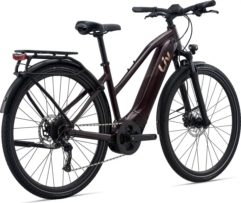 2021 Liv Amiti E+ 2 28 mph – Specs, Comparisons, Reviews – 99 Spokes