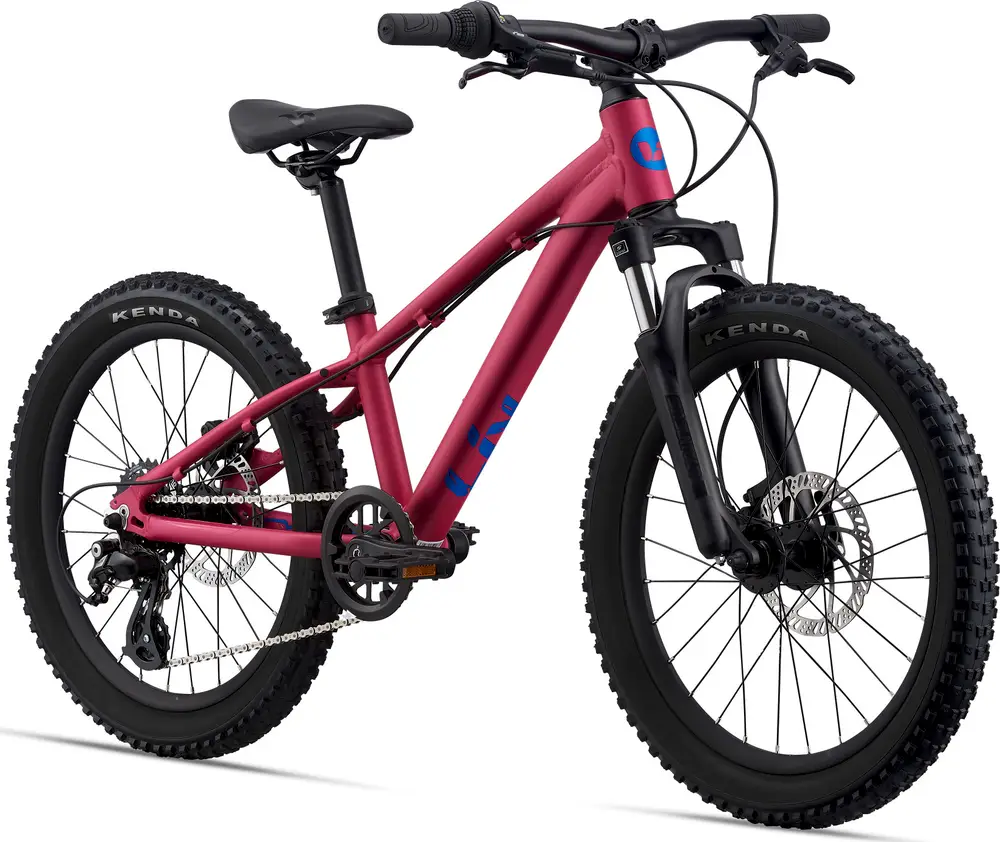 2022 Liv STP 20 FS – Specs, Comparisons, Reviews – 99 Spokes