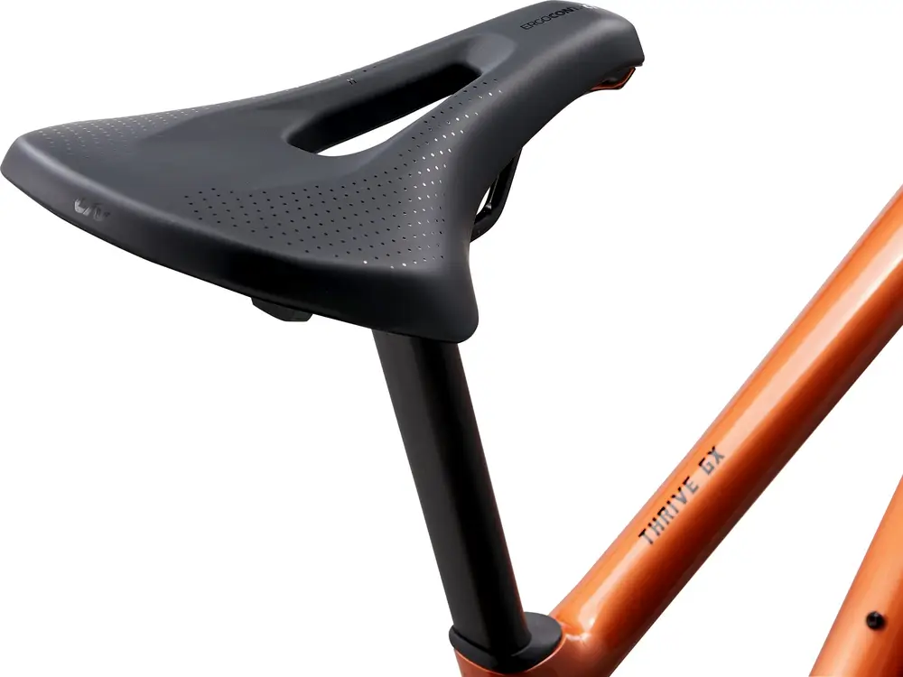 2023 Liv Thrive Advanced GX – Specs, Comparisons, Reviews – 99 Spokes