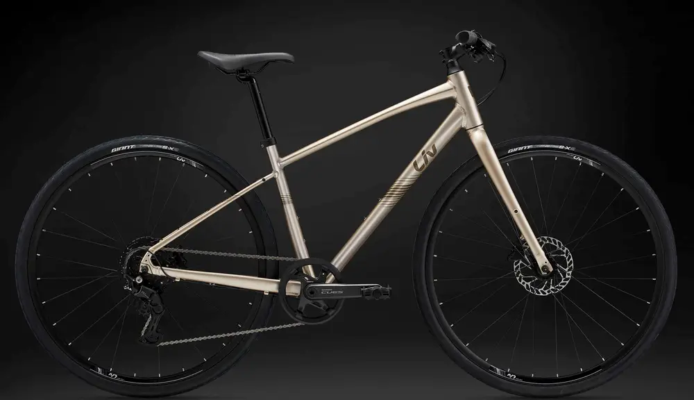 2024 Liv Alight DD Disc 2 – Specs, Comparisons, Reviews – 99 Spokes