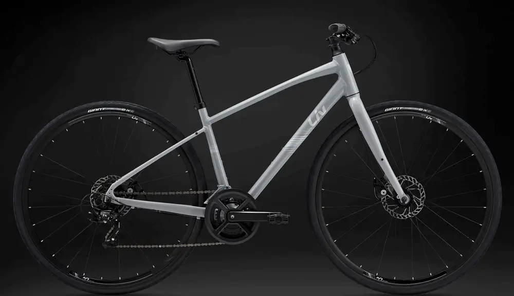 2024 Liv Alight DD Disc 3 – Specs, Comparisons, Reviews – 99 Spokes