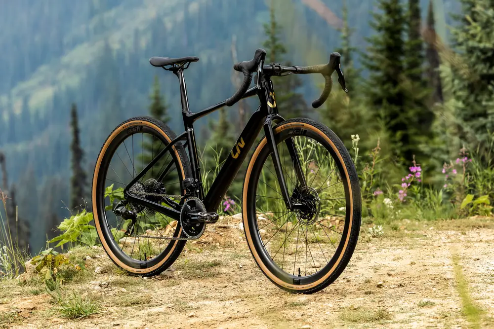 2024 Liv Devote Advanced Pro – Specs, Comparisons, Reviews – 99 Spokes