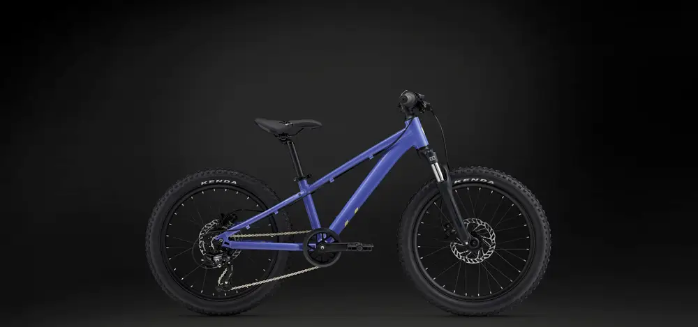 2024 Liv STP 20 FS – Specs, Comparisons, Reviews – 99 Spokes