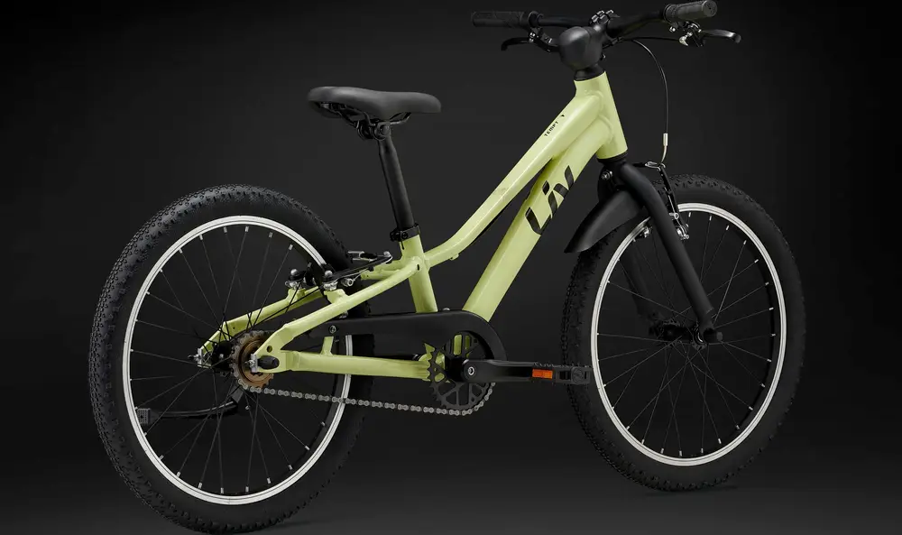 2024 Liv Tempt 20 SS – Specs, Comparisons, Reviews – 99 Spokes