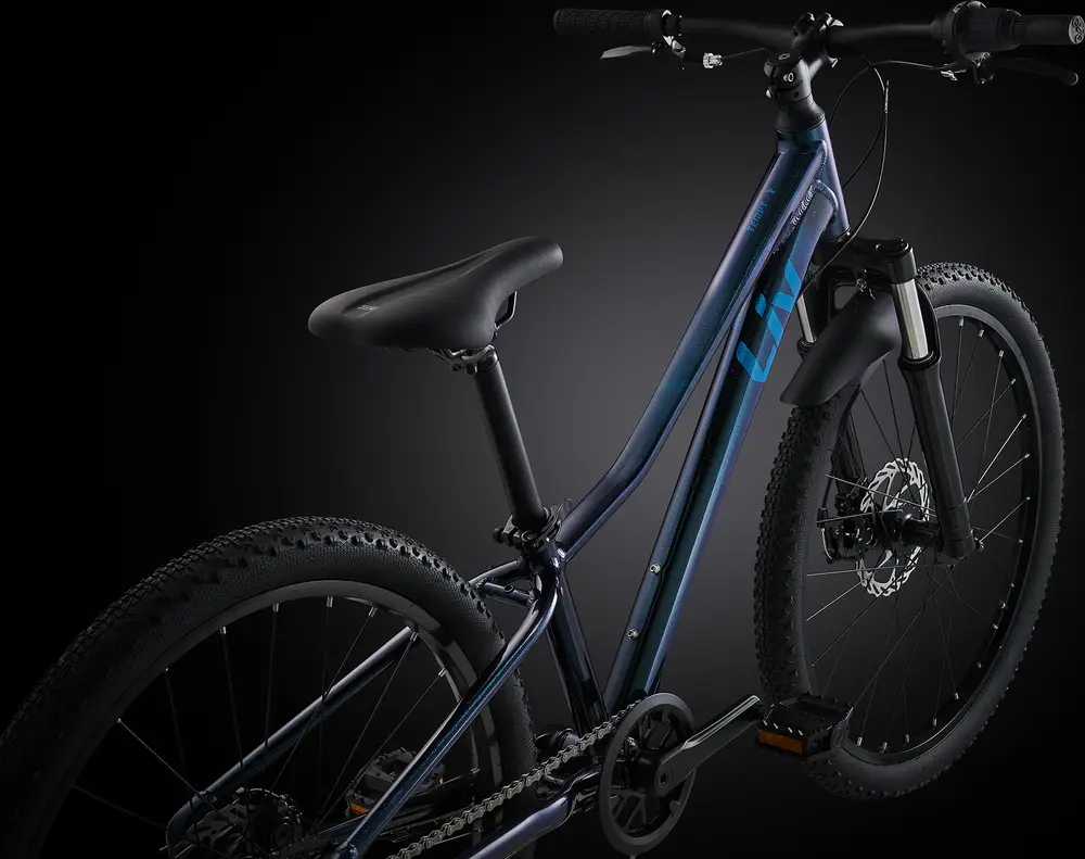 2024 Liv Tempt 24 Disc – Specs, Comparisons, Reviews – 99 Spokes