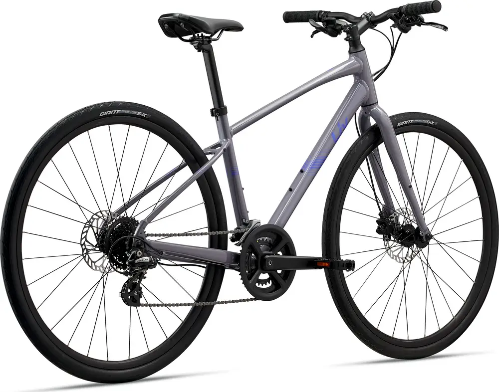 2025 Liv Alight Disc 3 – Specs, Comparisons, Reviews – 99 Spokes