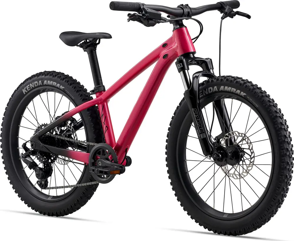 2026 Liv STP 20 FS – Specs, Comparisons, Reviews – 99 Spokes