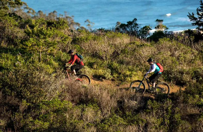 2020 Marin Wolf Ridge 8 – Specs, Comparisons, Reviews – 99 Spokes