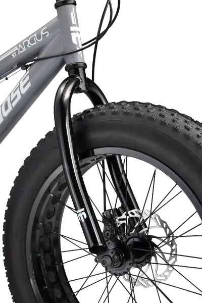 2024 Mongoose Argus ST 20 – Specs, Comparisons, Reviews – 99 Spokes