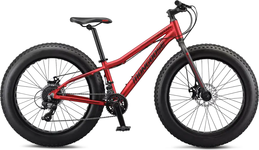 2024 Mongoose Argus Trail 24 – Specs, Comparisons, Reviews – 99 Spokes