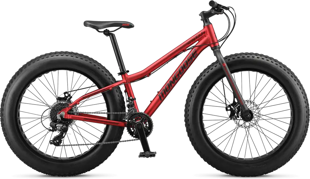 2024 Mongoose Argus Trail 24 – Specs, Comparisons, Reviews – 99 Spokes