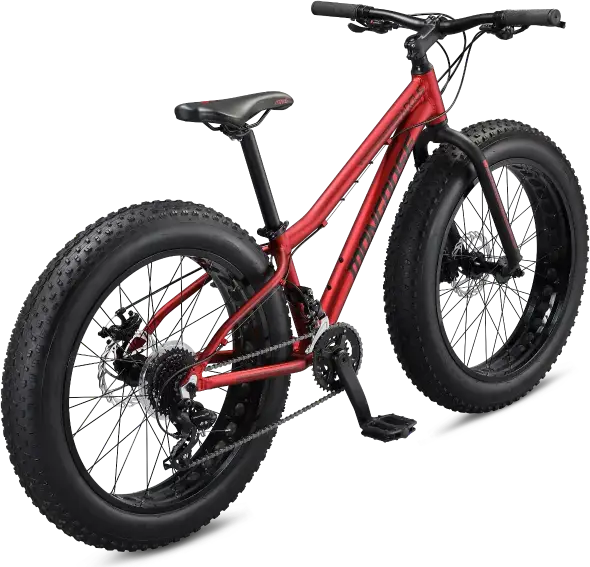 2024 Mongoose Argus Trail 24 – Specs, Comparisons, Reviews – 99 Spokes