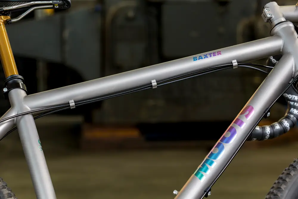 2020 Moots Baxter 29” FRAME ONLY – Specs, Comparisons, Reviews – 99 Spokes