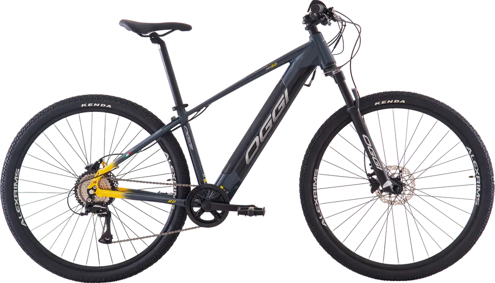 2024 Oggi E-Bike Big Wheel 8.0 c/ Acelerador – Specs, Comparisons, Reviews – 99 Spokes