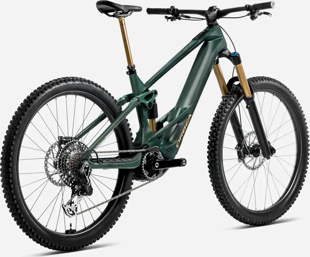 2025 Orbea WILD M-LTD – Specs, Comparisons, Reviews – 99 Spokes