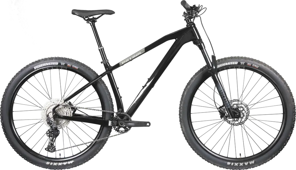 2026 Patrol C09 Carbon Hardtail – Specs, Comparisons, Reviews – 99 Spokes
