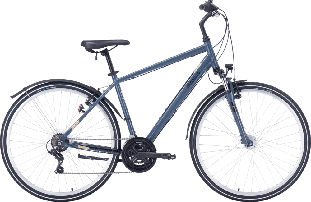 2022 Pegasus Avanti Sport 18 – Specs, Comparisons, Reviews – 99 Spokes