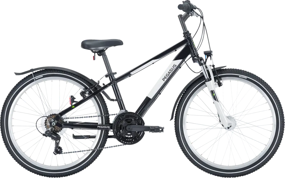 2023 Pegasus Avanti Sport 18 24 Diamond – Specs, Comparisons, Reviews ...