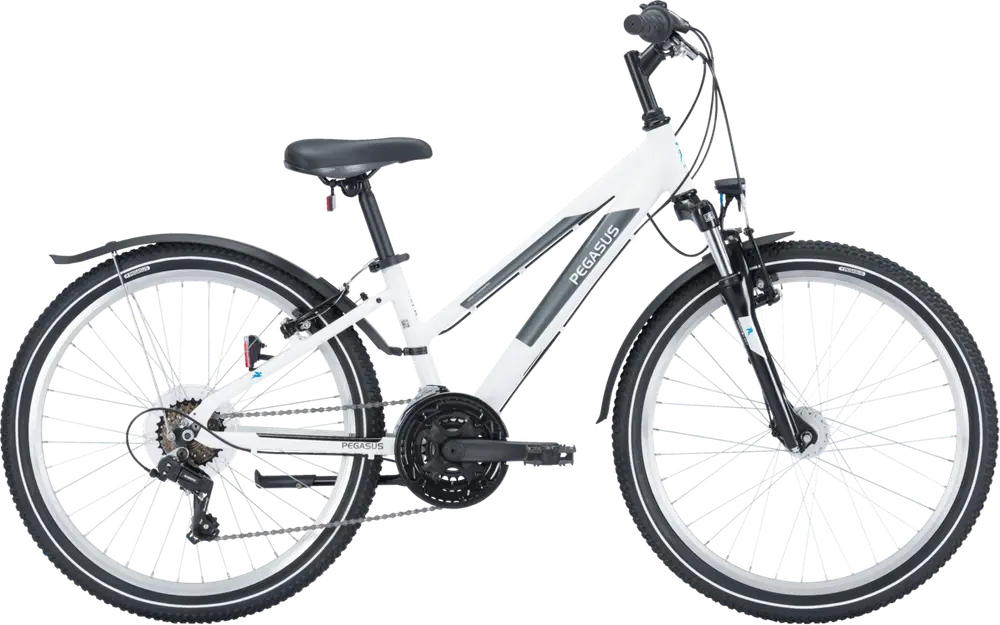 2023 Pegasus Avanti Sport 18 24 Trapeze – Specs, Comparisons, Reviews ...