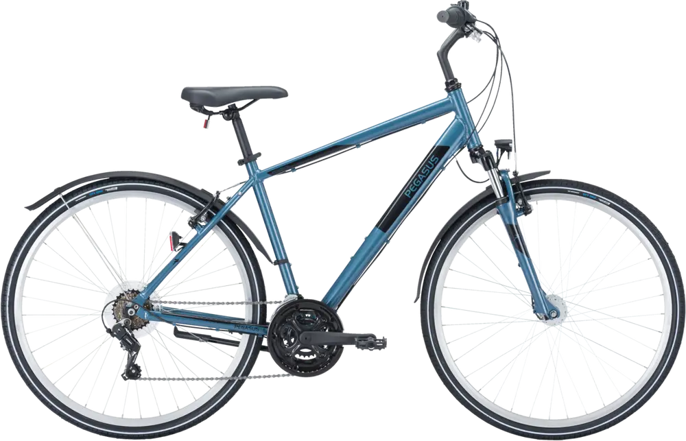 2023 Pegasus Avanti Sport 18 Diamond – Specs, Comparisons, Reviews – 99 ...