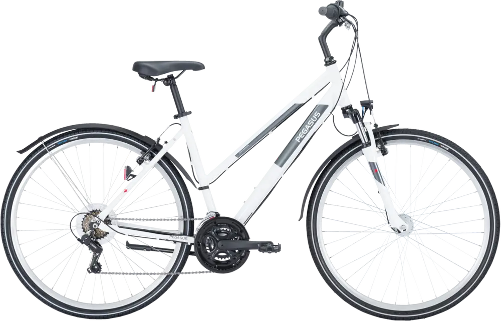 2023 Pegasus Avanti Sport 18 Trapeze – Specs, Comparisons, Reviews – 99 ...