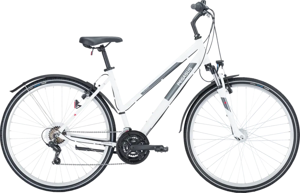 2023 Pegasus Avanti Sport 18 – Specs, Comparisons, Reviews – 99 Spokes