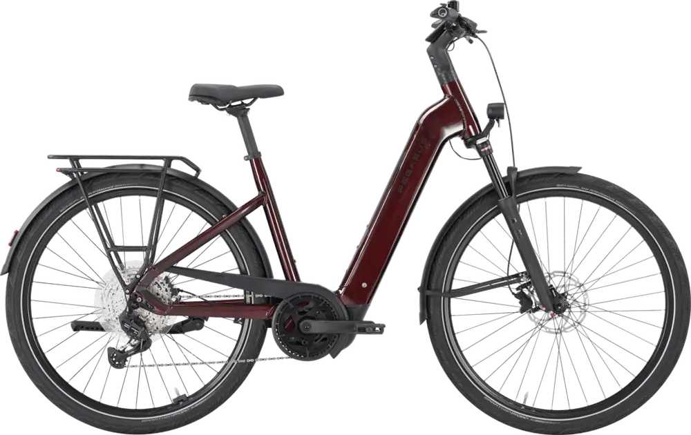 2025 Pegasus PREMIO EVO 12 Lite Auto Wave – Specs, Comparisons, Reviews ...