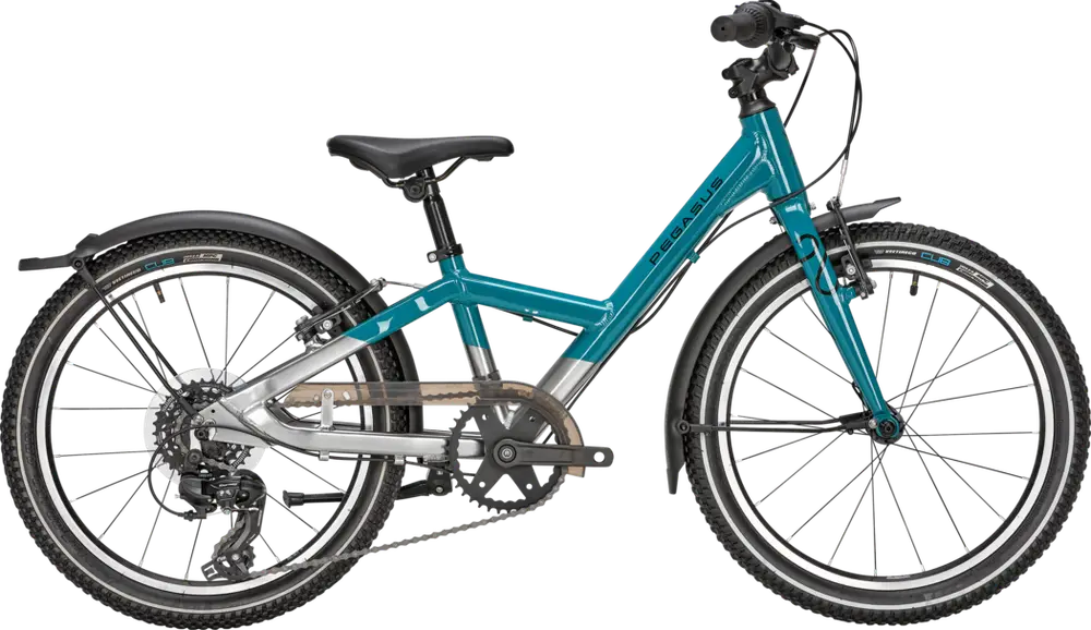 2025 Pegasus Primo SL 20 7 – Specs, Comparisons, Reviews – 99 Spokes