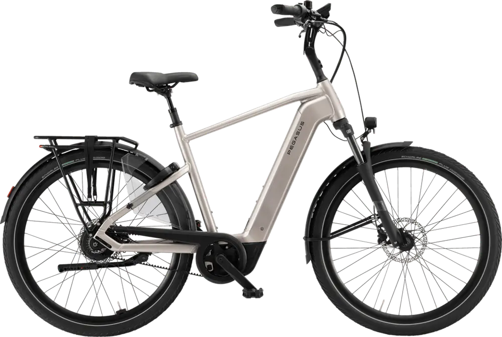 2026 Pegasus Ravenna EVO NV Belt Diamond – Specs, Comparisons, Reviews ...