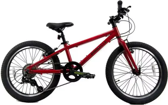 2024 Pinnacle Ash 20 inch – Specs, Comparisons, Reviews – 99 Spokes