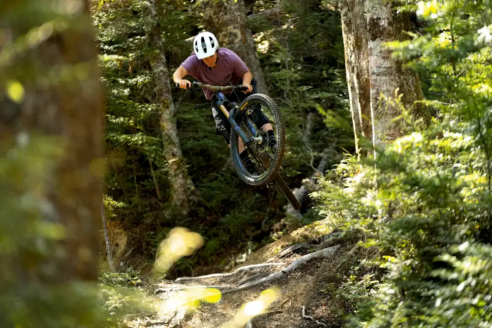 2025 Pivot Firebird Frame – Specs, Comparisons, Reviews – 99 Spokes