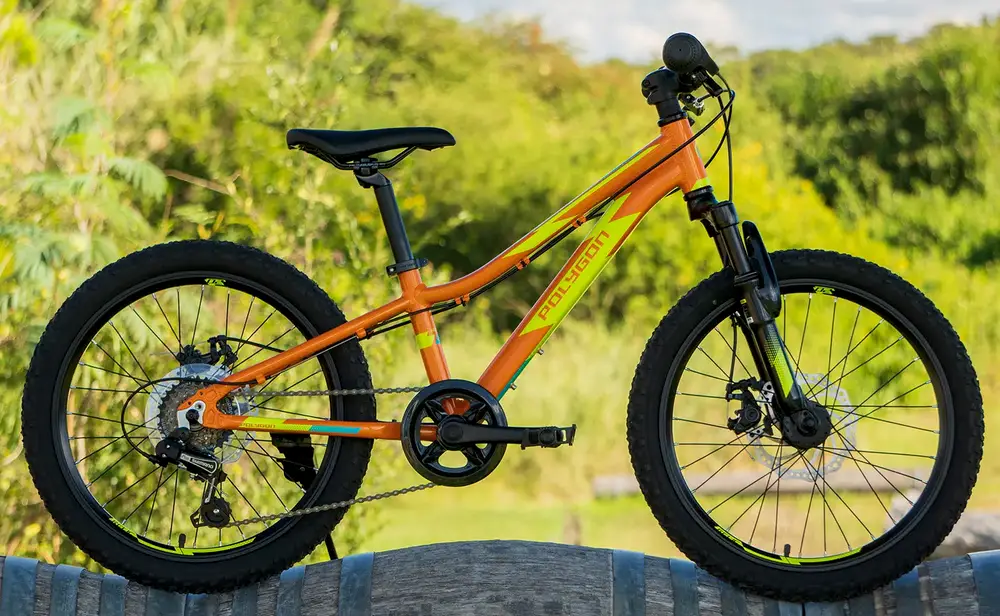 2021 Polygon Relic 20 – Specs, Comparisons, Reviews – 99 Spokes