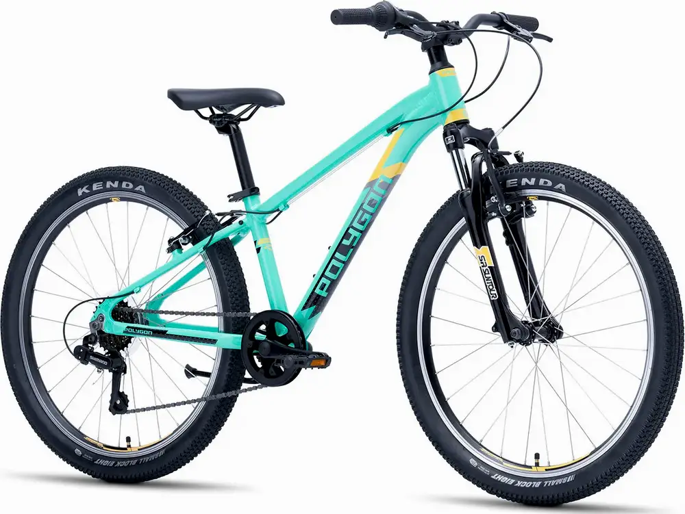 2022 Polygon Premier 24 inch Kids – Specs, Comparisons, Reviews – 99 Spokes