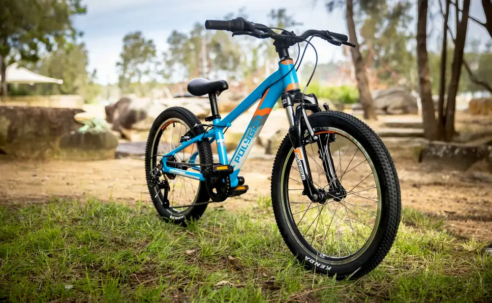 2022 Polygon Premier XC 20 – Specs, Comparisons, Reviews – 99 Spokes