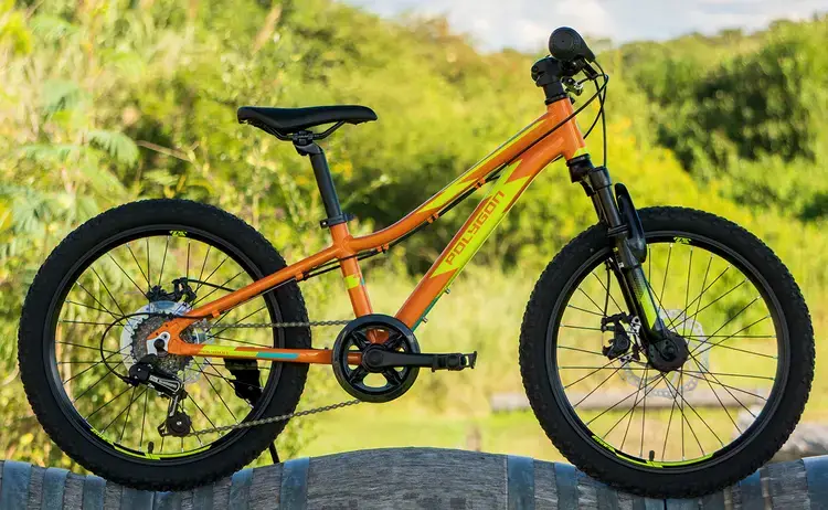 2022 Polygon Relic 20 – Specs, Comparisons, Reviews – 99 Spokes