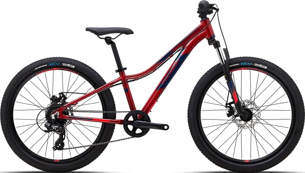 2022 Polygon RELIC24 – Specs, Comparisons, Reviews – 99 Spokes