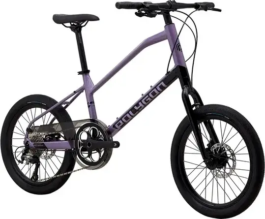 2023 Polygon Zeta 2 20inch City Bike – Specs, Comparisons, Reviews – 99 ...