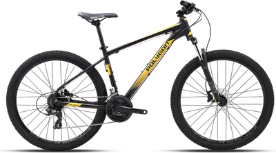 Compare: 2024 Polygon CASCADE 3 vs CASCADE 4 vs Cascade 5 – 99 Spokes