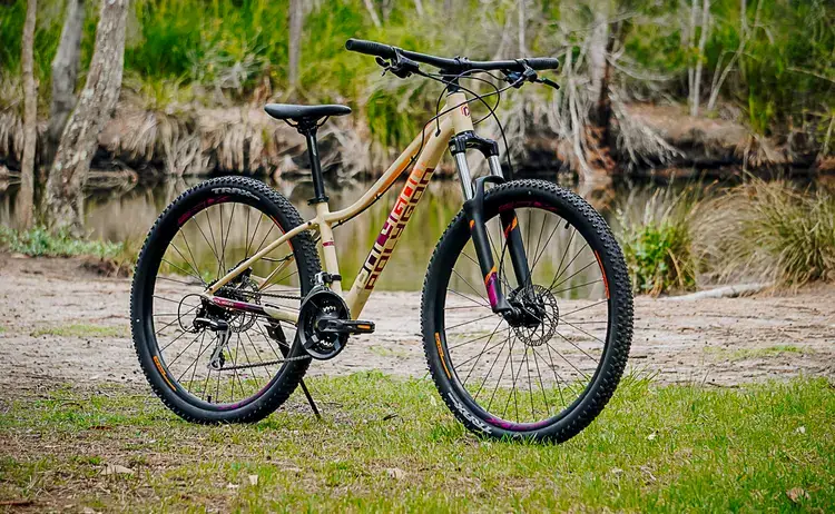 2024 Polygon Cleo 2 – Specs, Comparisons, Reviews – 99 Spokes