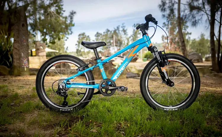 2024 Polygon Premier 20 XC – Specs, Comparisons, Reviews – 99 Spokes