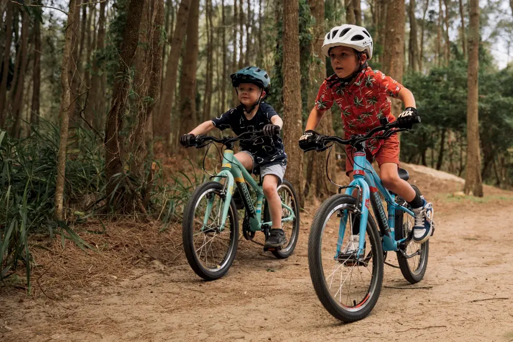 2024 Polygon Premier 20 – Specs, Comparisons, Reviews – 99 Spokes