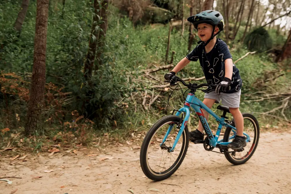 2024 Polygon Premier 20 – Specs, Comparisons, Reviews – 99 Spokes